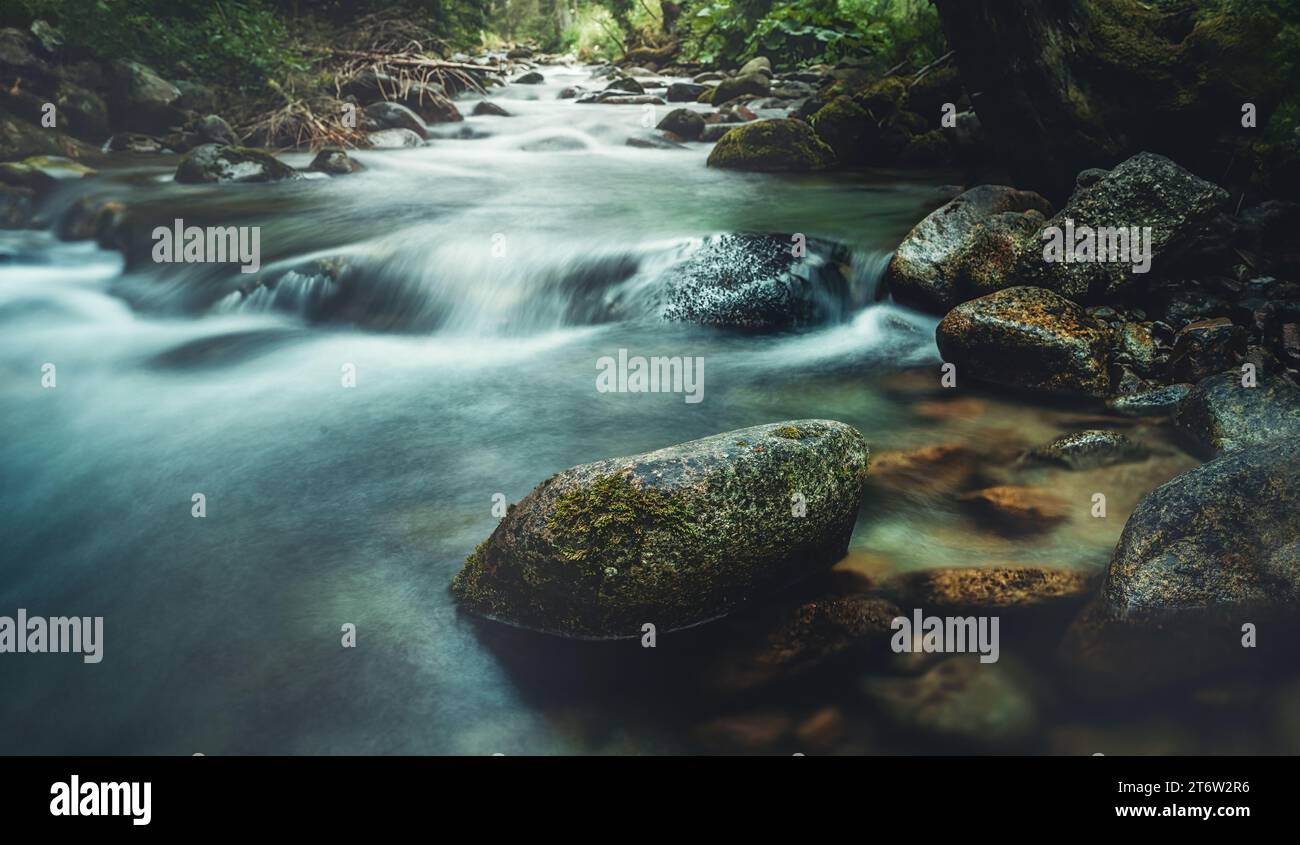 Forest stream running over mossy rocks. Long exposure Stock Photo - Alamy