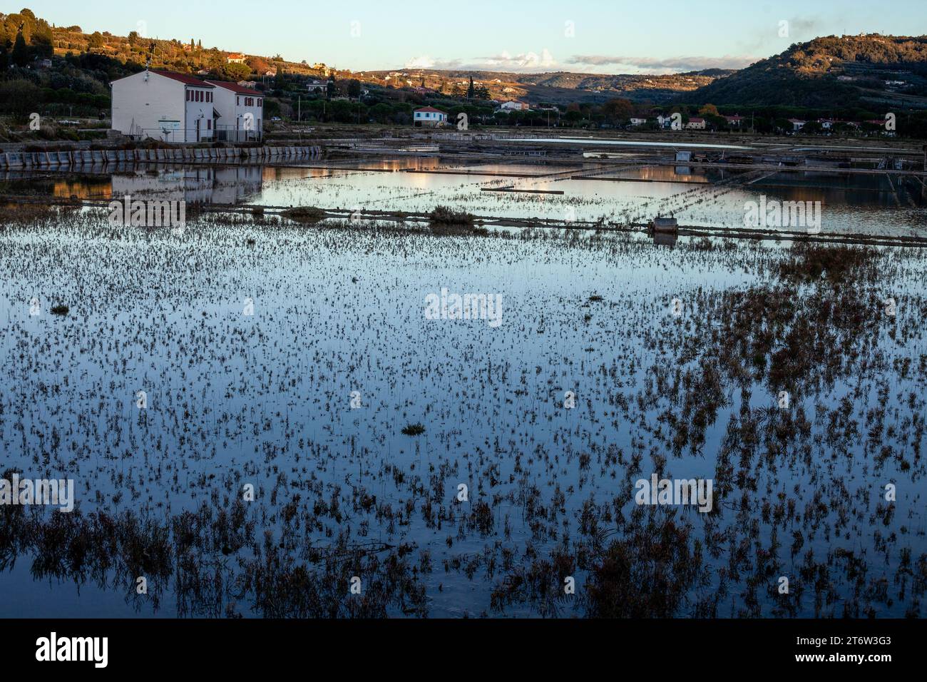 Strunjan nature park hi-res stock photography and images - Alamy