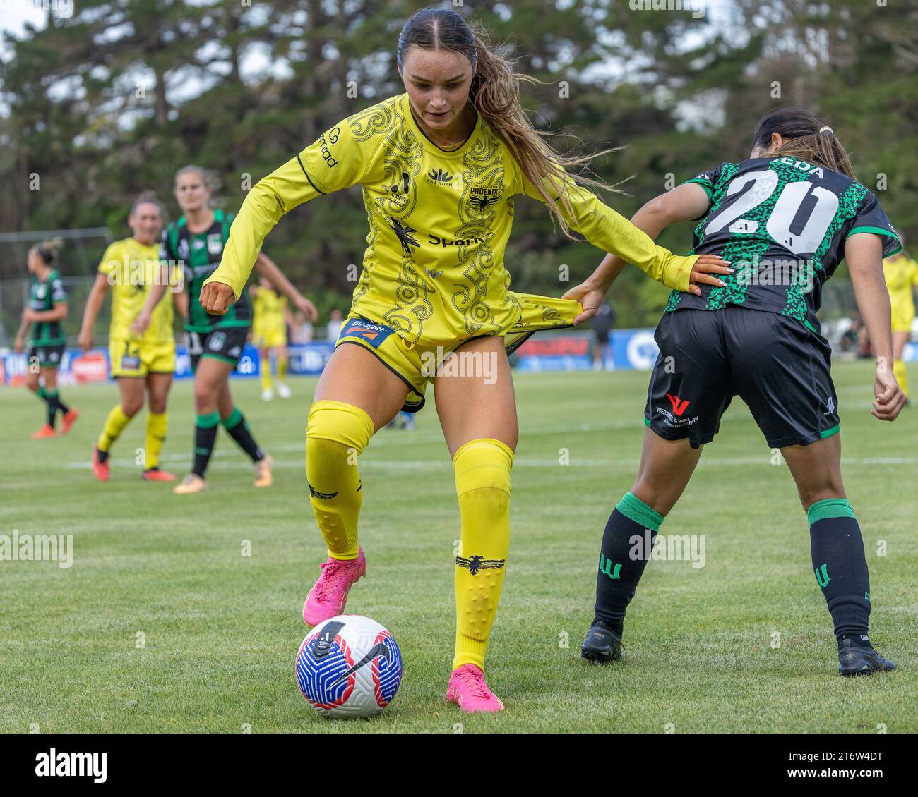 Porirua, Wellington, New Zealand, 12 November 2023: Wellington's Macey ...