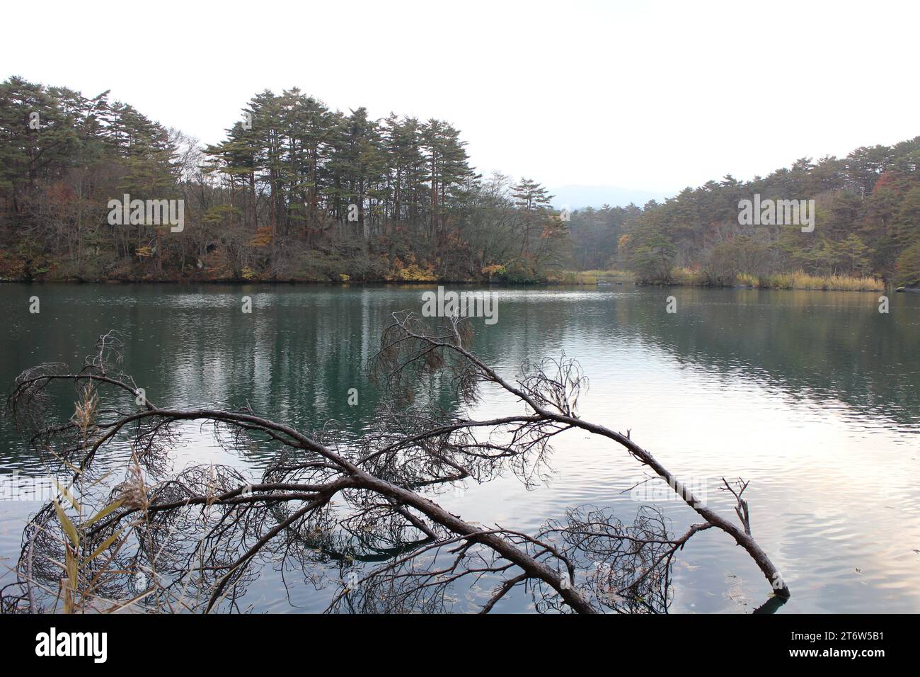 Scenery of Bishamonnuma pond and autumn leaves in Goshikinuma ...