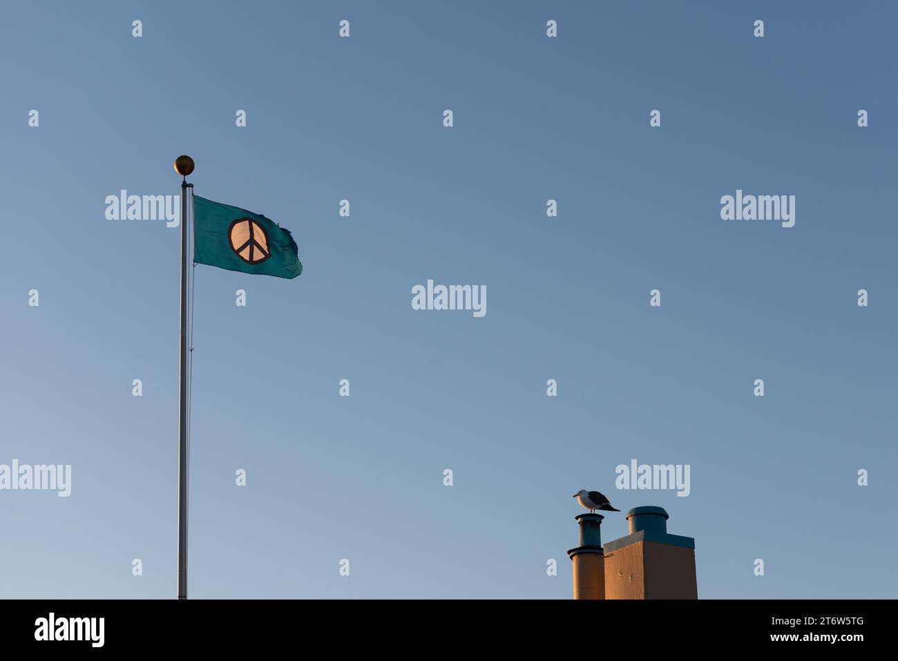 A blue and white peace flag flying high on a pole on a windy morning ...