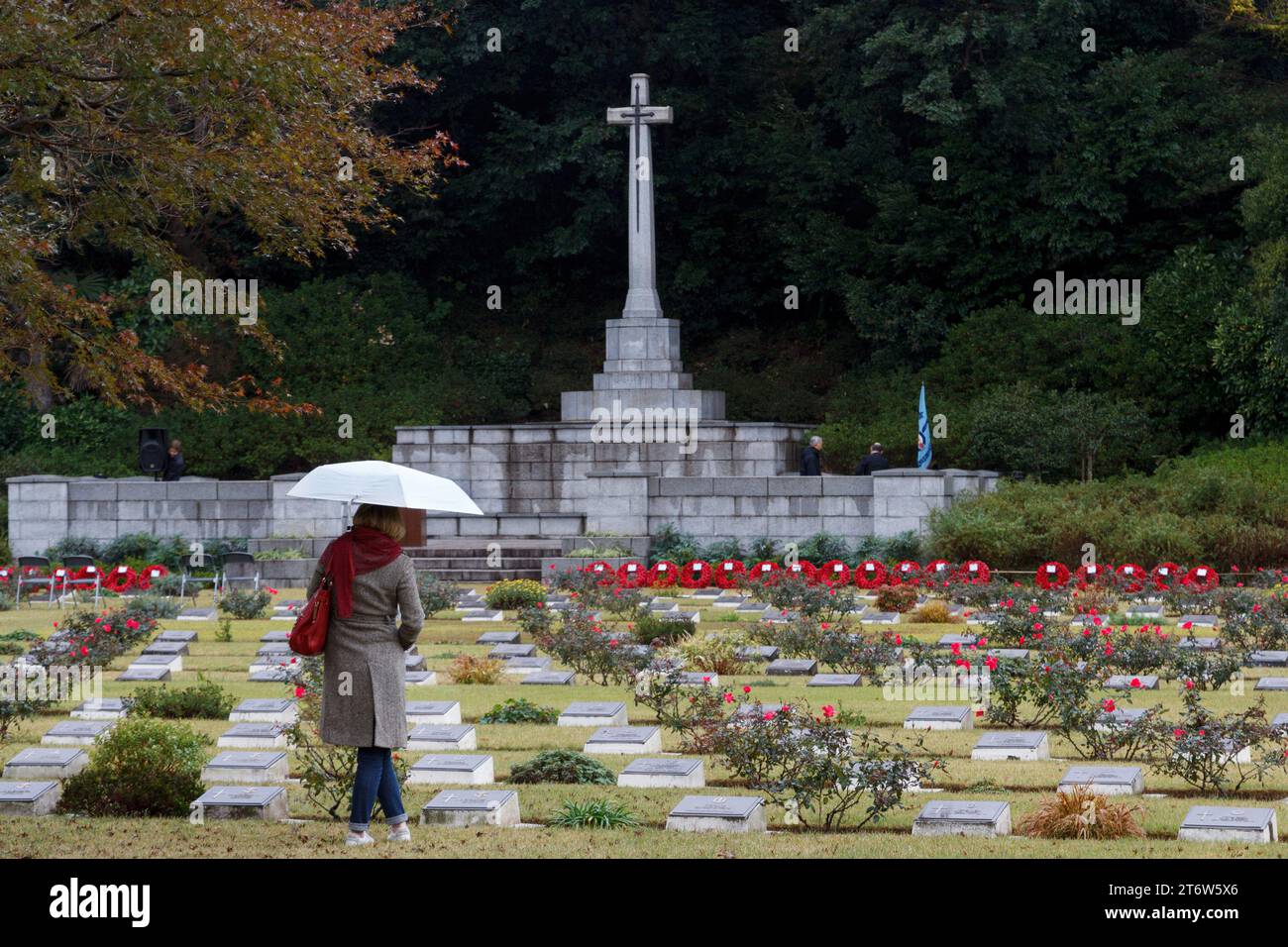 A woman holding an umbrella looks at graves with the Cross of sacrifice ...