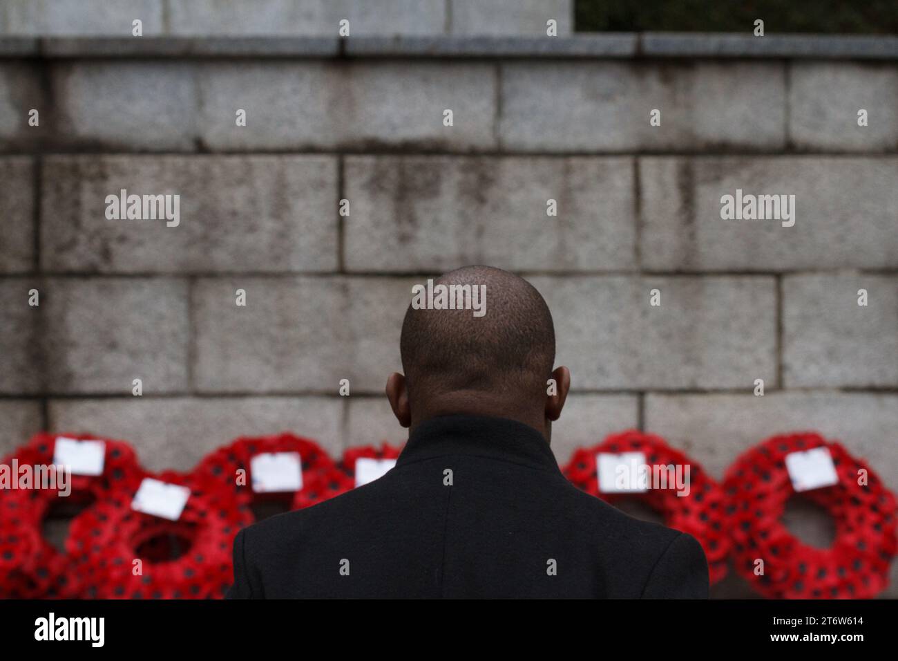 Diplomats and dignitaries lay wreaths of poppies at the Cross of ...
