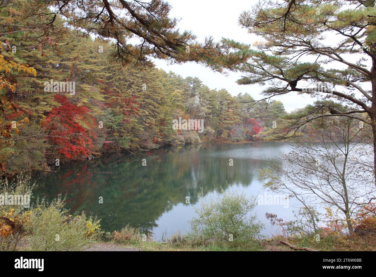 Scenery of Yanaginuma pond and autumn leaves in Goshikinuma, Urabandai ...