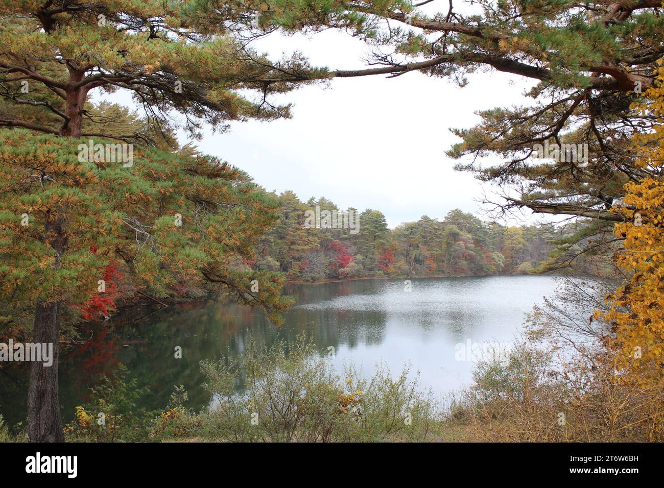Scenery of Yanaginuma pond and autumn leaves in Goshikinuma, Urabandai ...