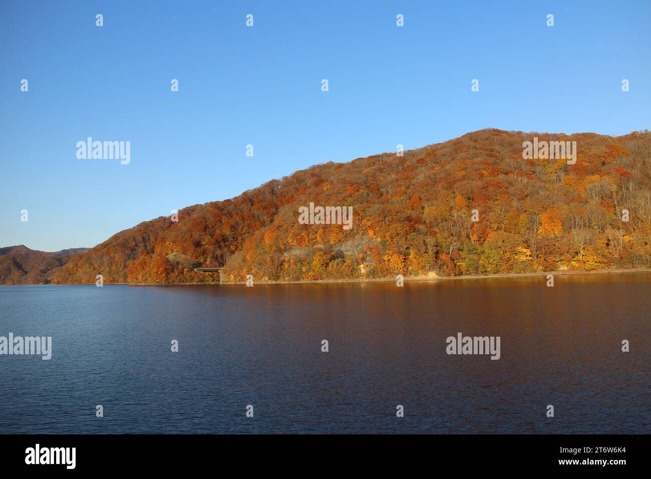 Autumn scenery of Lake Hibara and mountains with autumn leaves in ...
