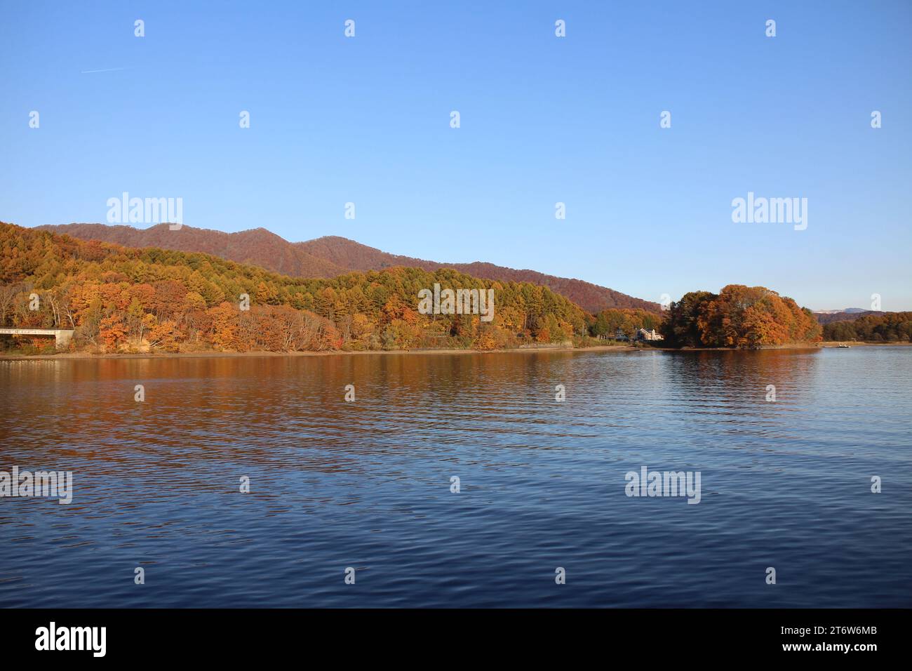 Autumn scenery of Lake Hibara and mountains with autumn leaves in ...