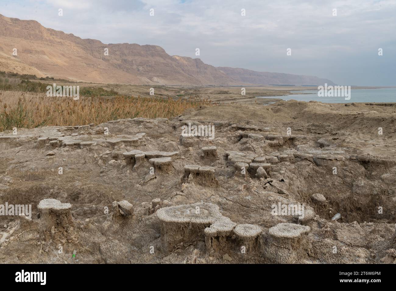Dust and dirt cast a brownish hue over unqiue salt mounds which form ...