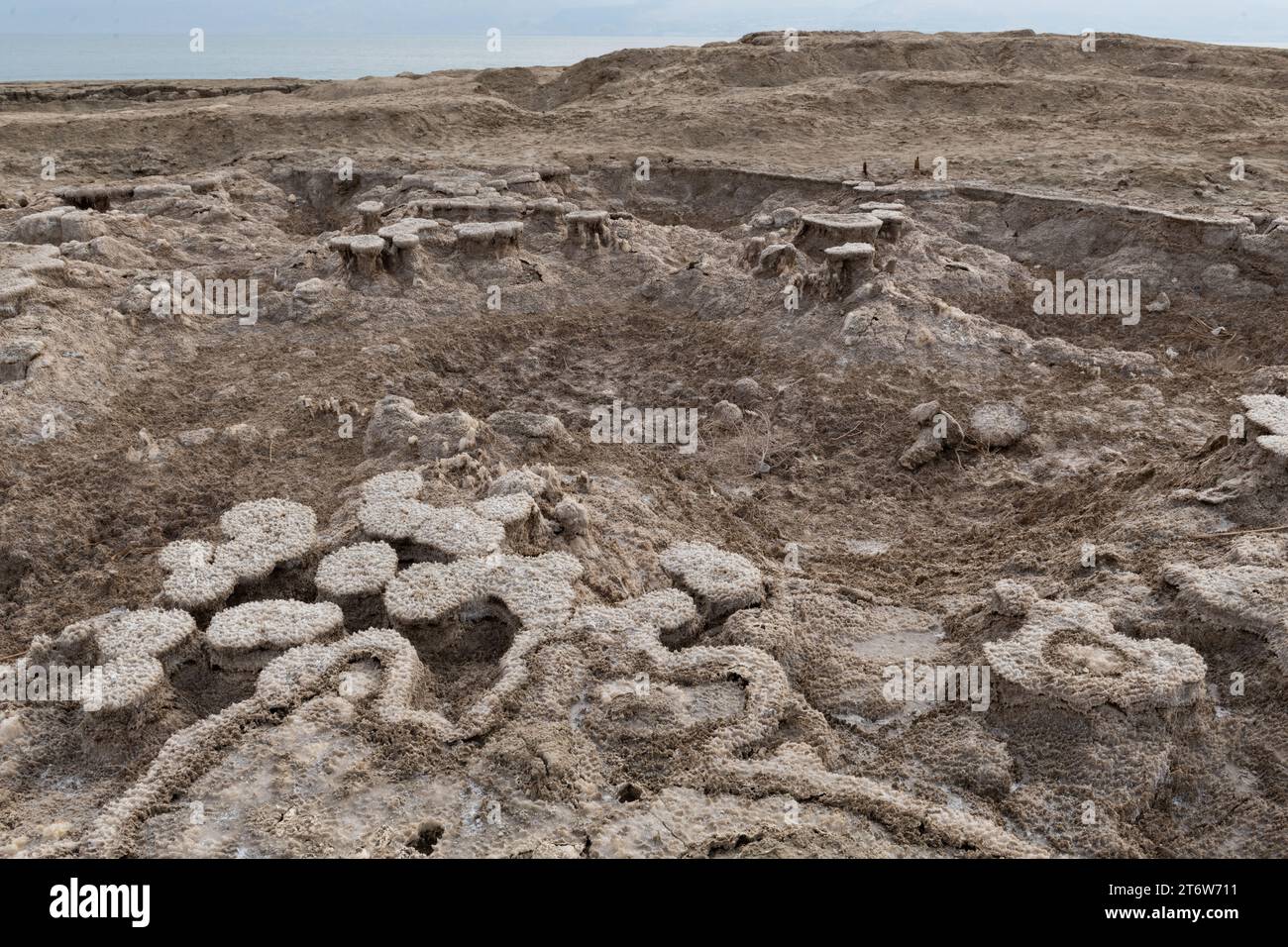Dust and dirt cast a brownish hue over unqiue salt mounds which form ...