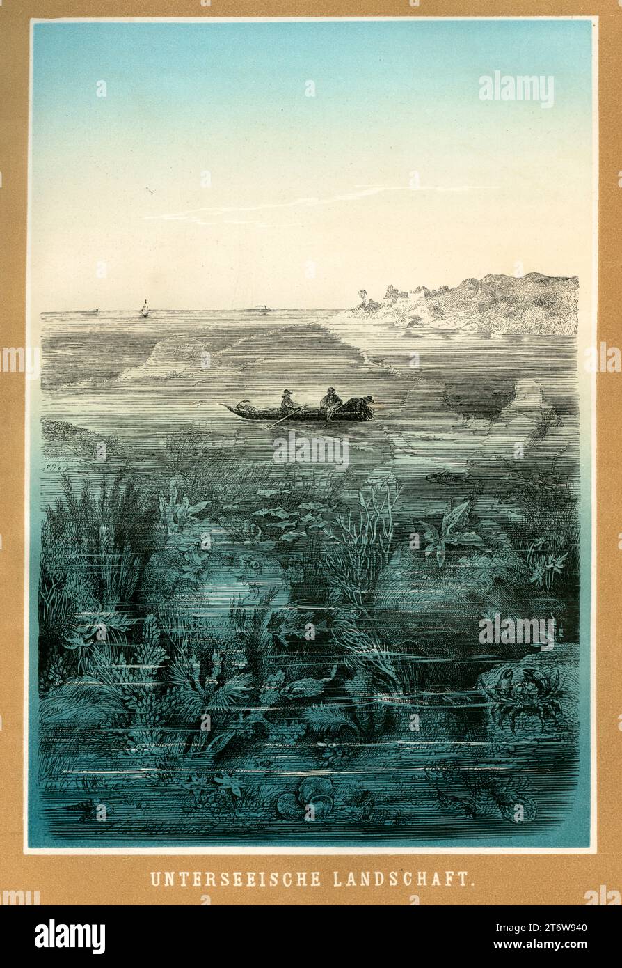 1001460 hi-res stock photography and images - Alamy