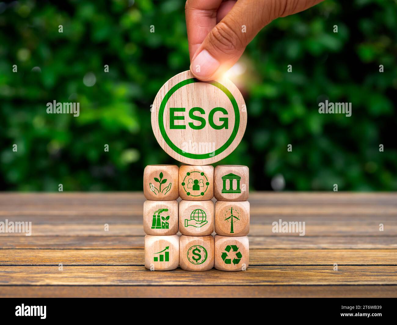 Environmental, social, and corporate governance (ESG), environment ...