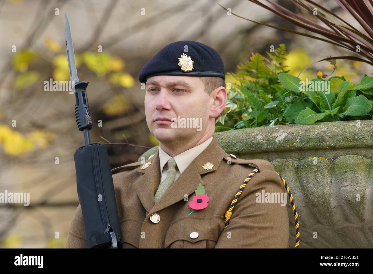 Lost rifle hi-res stock photography and images - Alamy