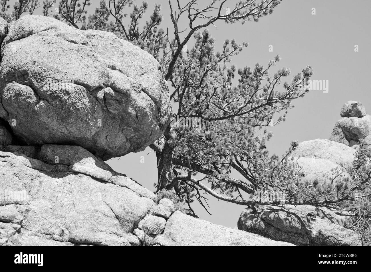 Mountain terrain is amazing Stock Photo - Alamy