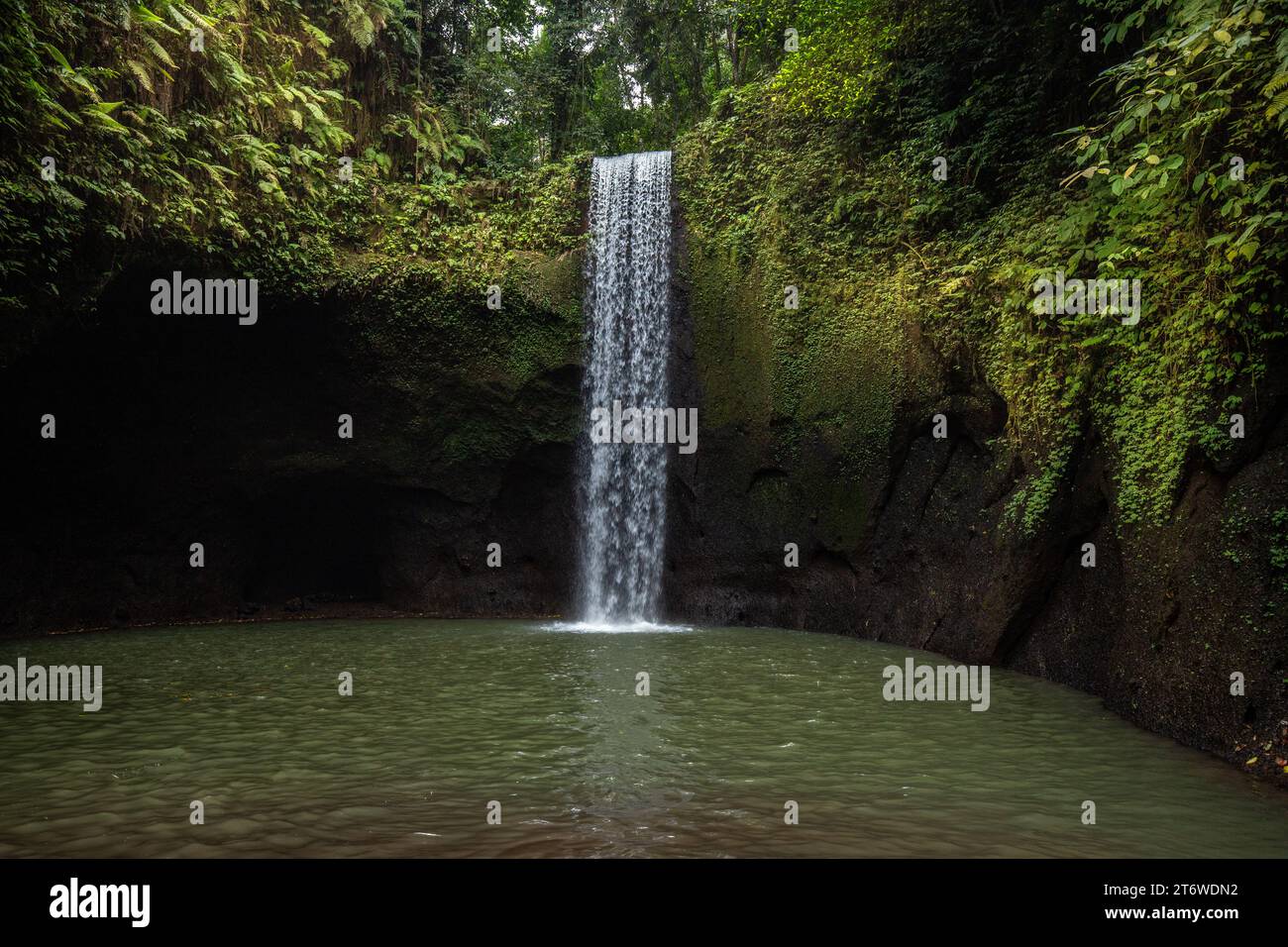 Tibumana Waterfall a small wide waterfall in a green gorge. The river ...