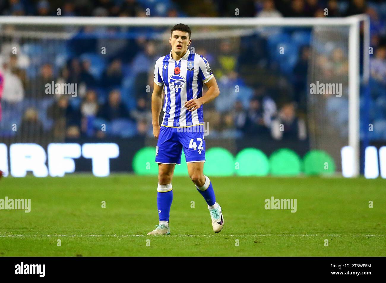 Hillsborough Stadium, Sheffield, England - 11th November 2023 Bailey ...