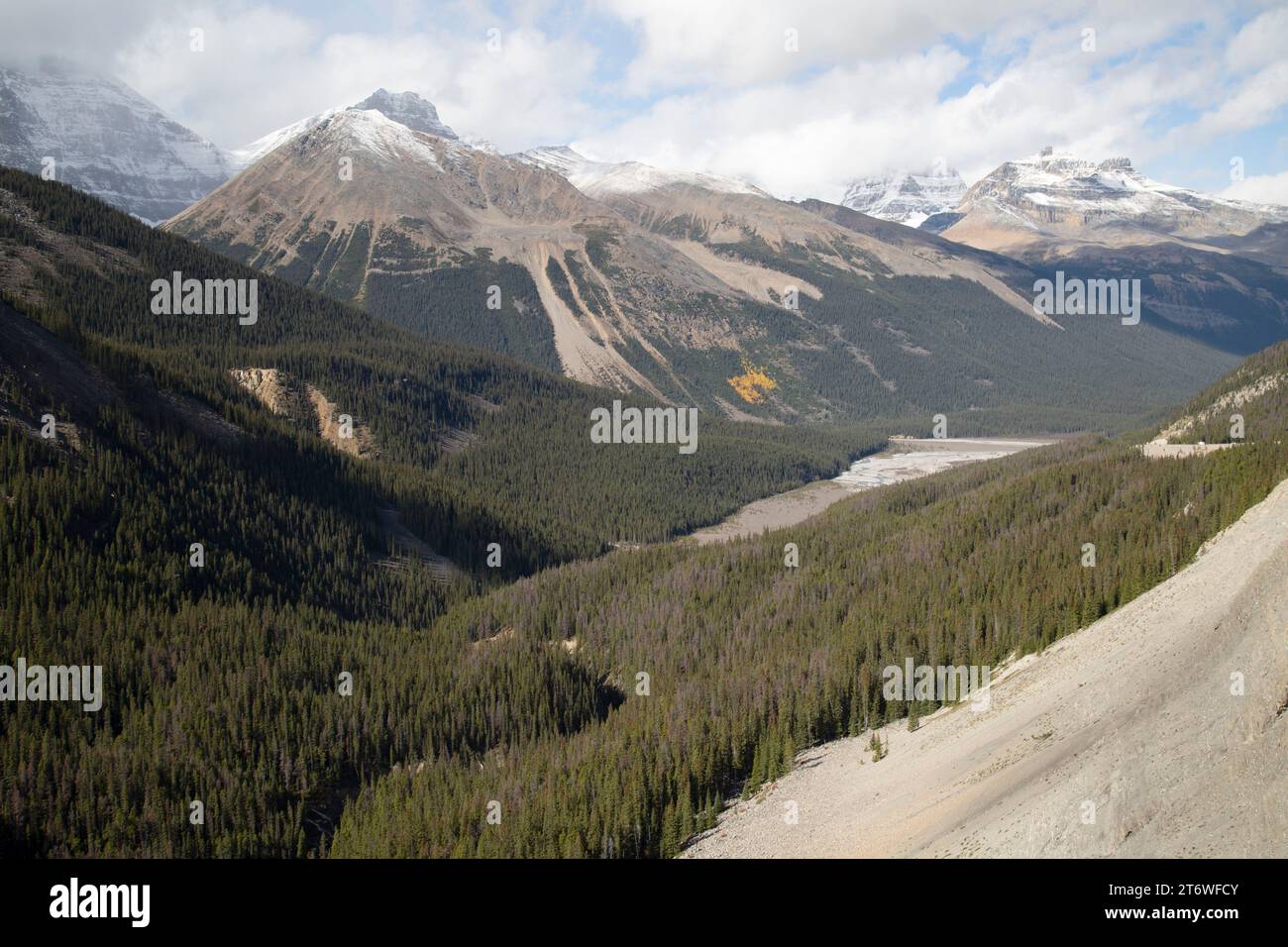 View from the Glacier Skywalk, Jasper National Park, Jasper, Alberta ...
