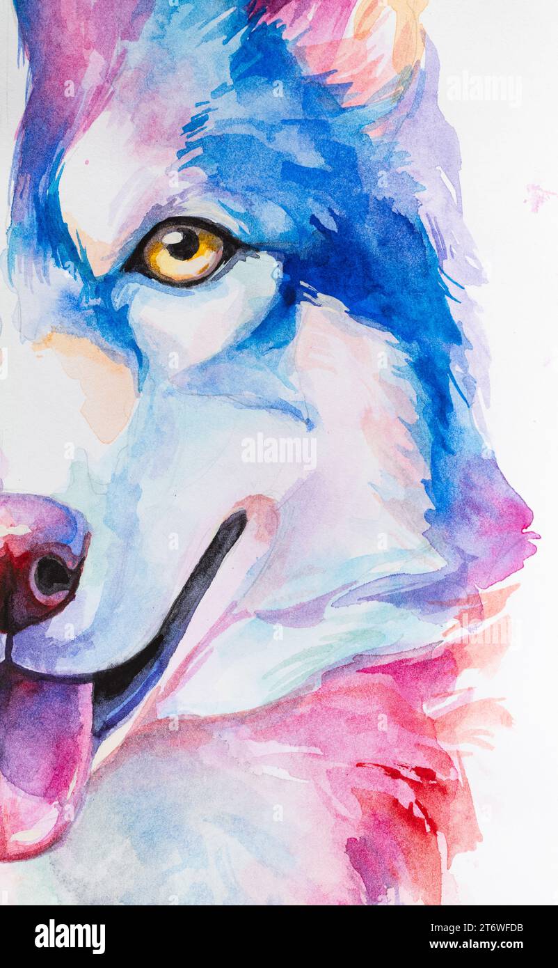 dog painted in watercolor on a white background Stock Photo - Alamy