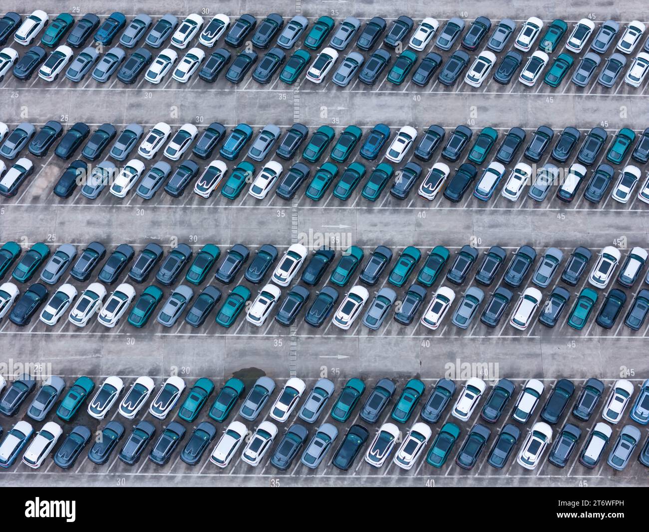 CHONGQING, CHINA - NOVEMBER 12, 2023 - New energy vehicles are parked ...