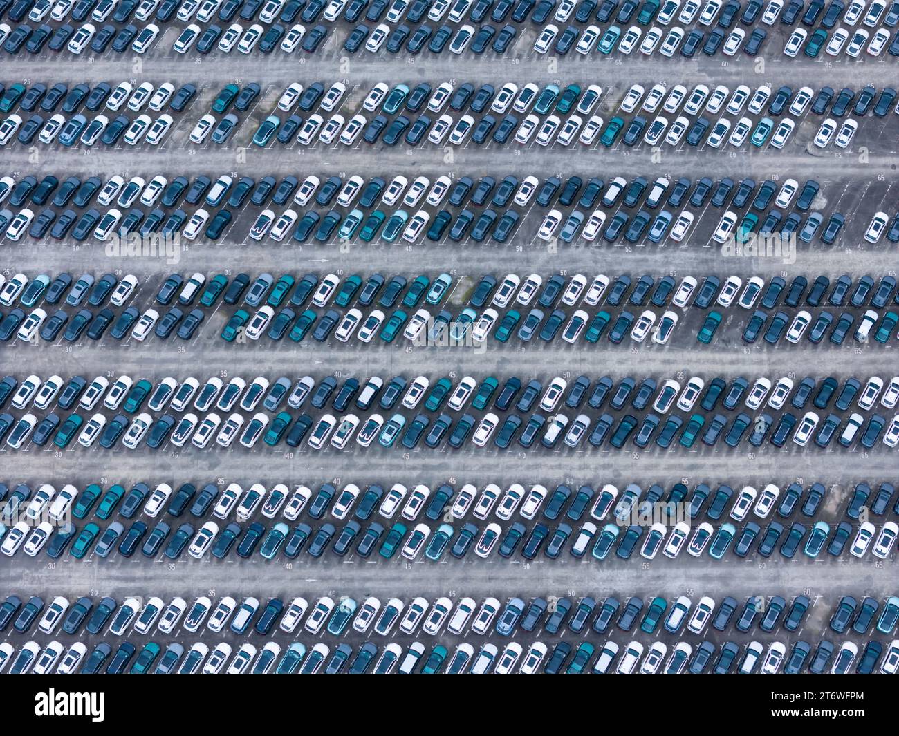 CHONGQING, CHINA - NOVEMBER 12, 2023 - New energy vehicles are parked ...