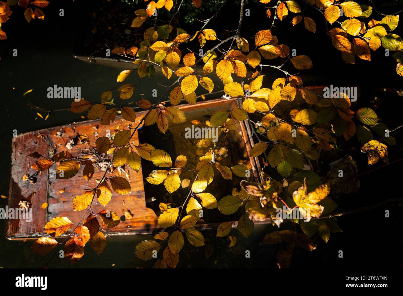 A punt under autumn leaves Stock Photo - Alamy