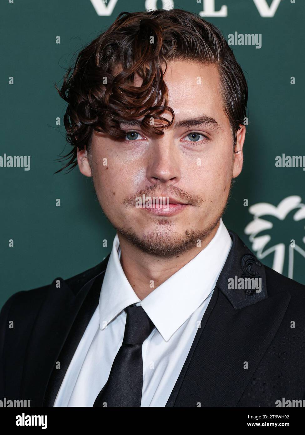 WEST HOLLYWOOD, LOS ANGELES, CALIFORNIA, USA - NOVEMBER 11: Cole ...