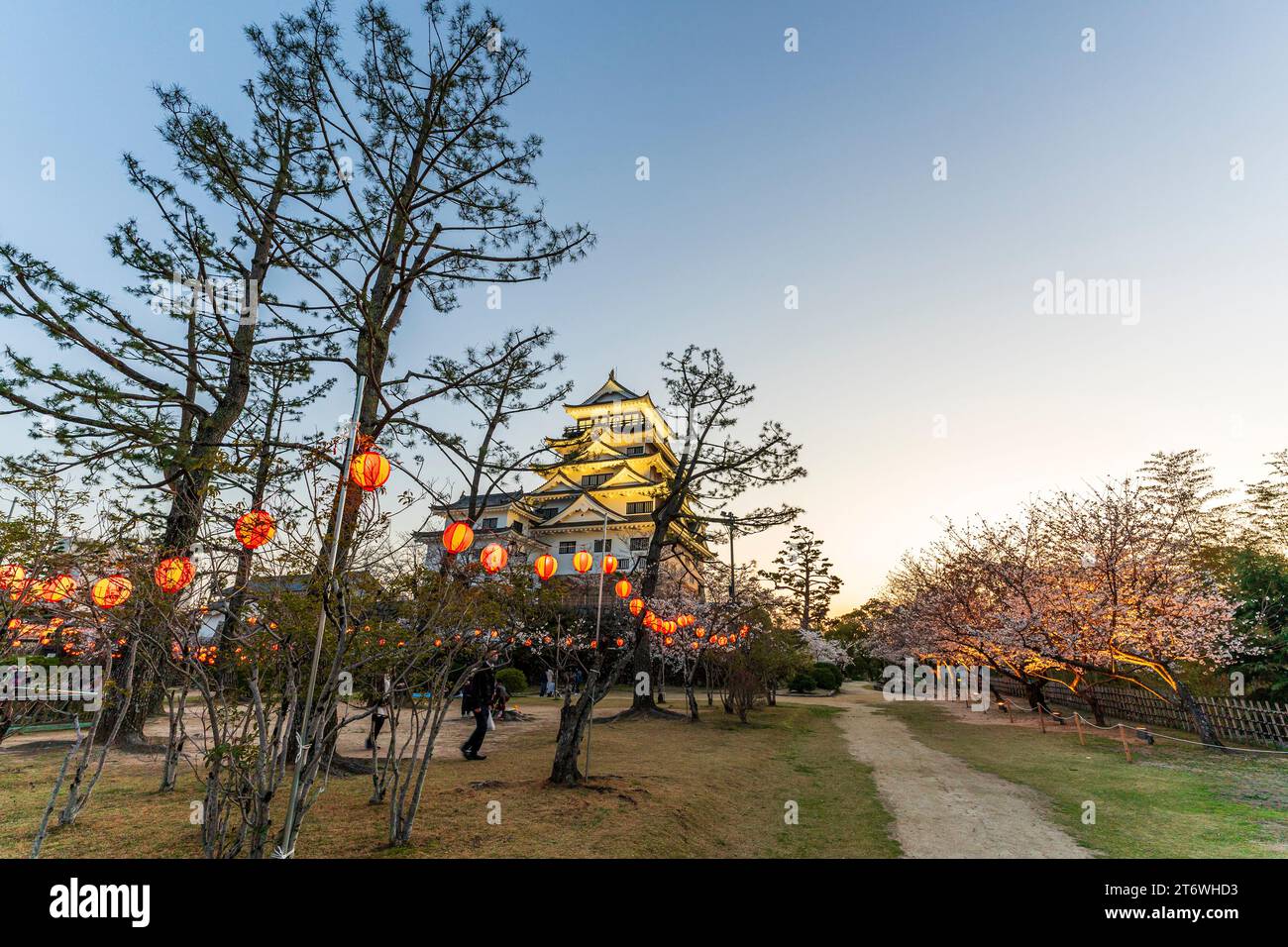 Japanese lanterns trees hi-res stock photography and images - Alamy