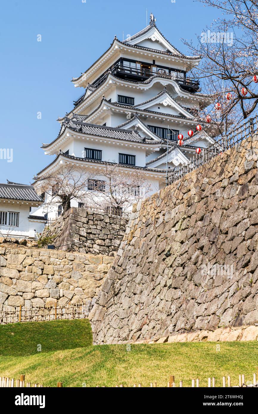 Fukuyama castle in Japan. Ishigaki stone walls with cherry blossom ...