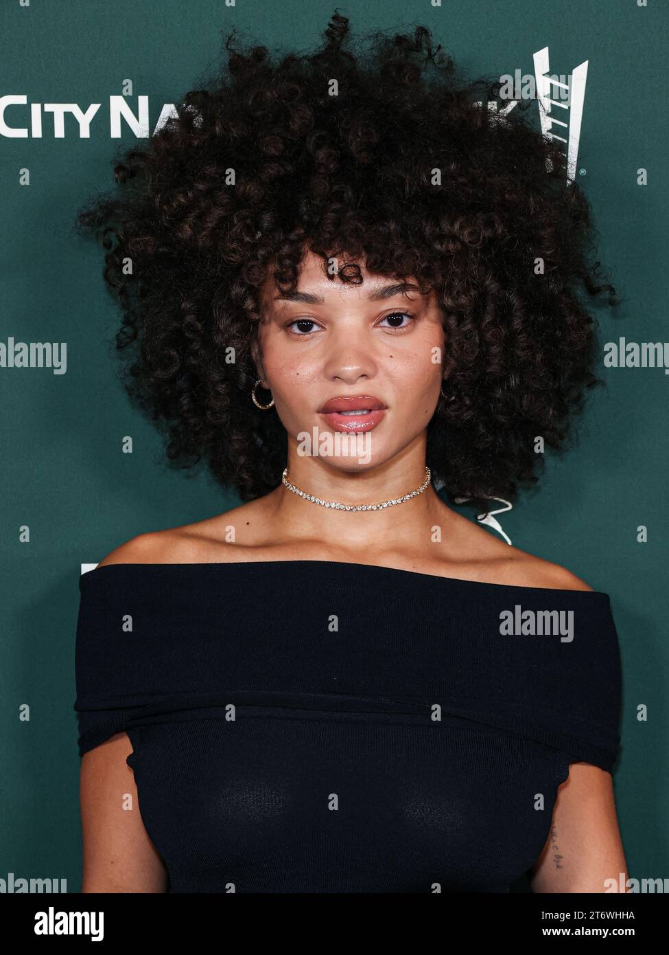 WEST HOLLYWOOD, LOS ANGELES, CALIFORNIA, USA - NOVEMBER 11: Jamea ...