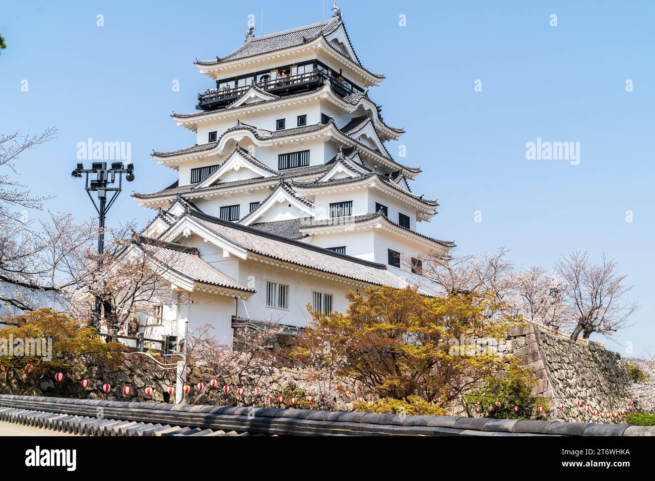 Fukuyama castle in Japan.Ishigaki stone walls with trees and cherry ...