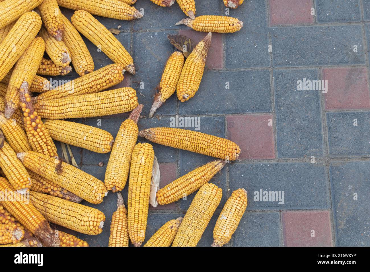 Top down cobblestone pavement hi-res stock photography and images - Alamy