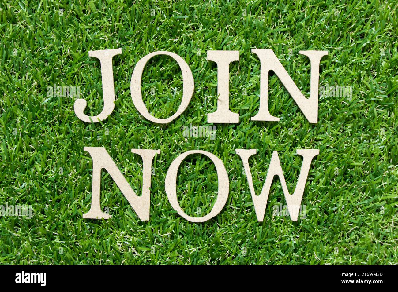 Wood letter in word join now on green grass background Stock Photo - Alamy