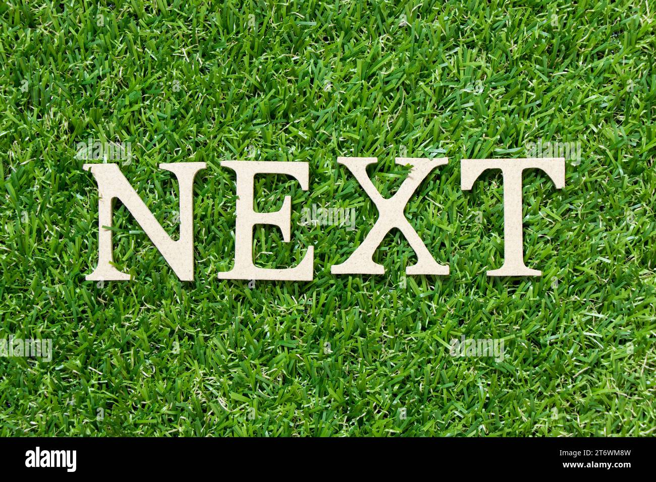 Wood letter in word next on green grass background Stock Photo - Alamy