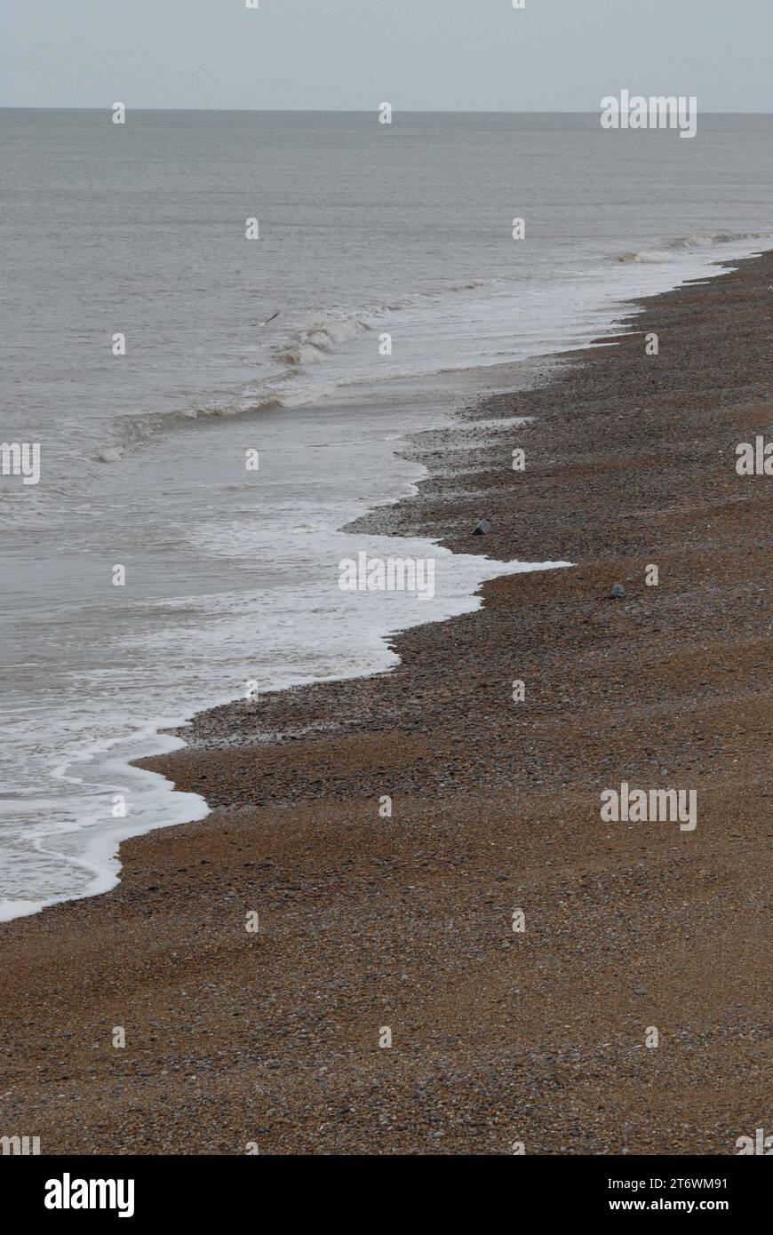 Beach Cusp erosion features along the length of Shingle Beach with ...