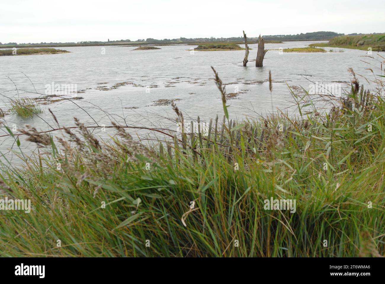 Sssi nest river hi-res stock photography and images - Alamy