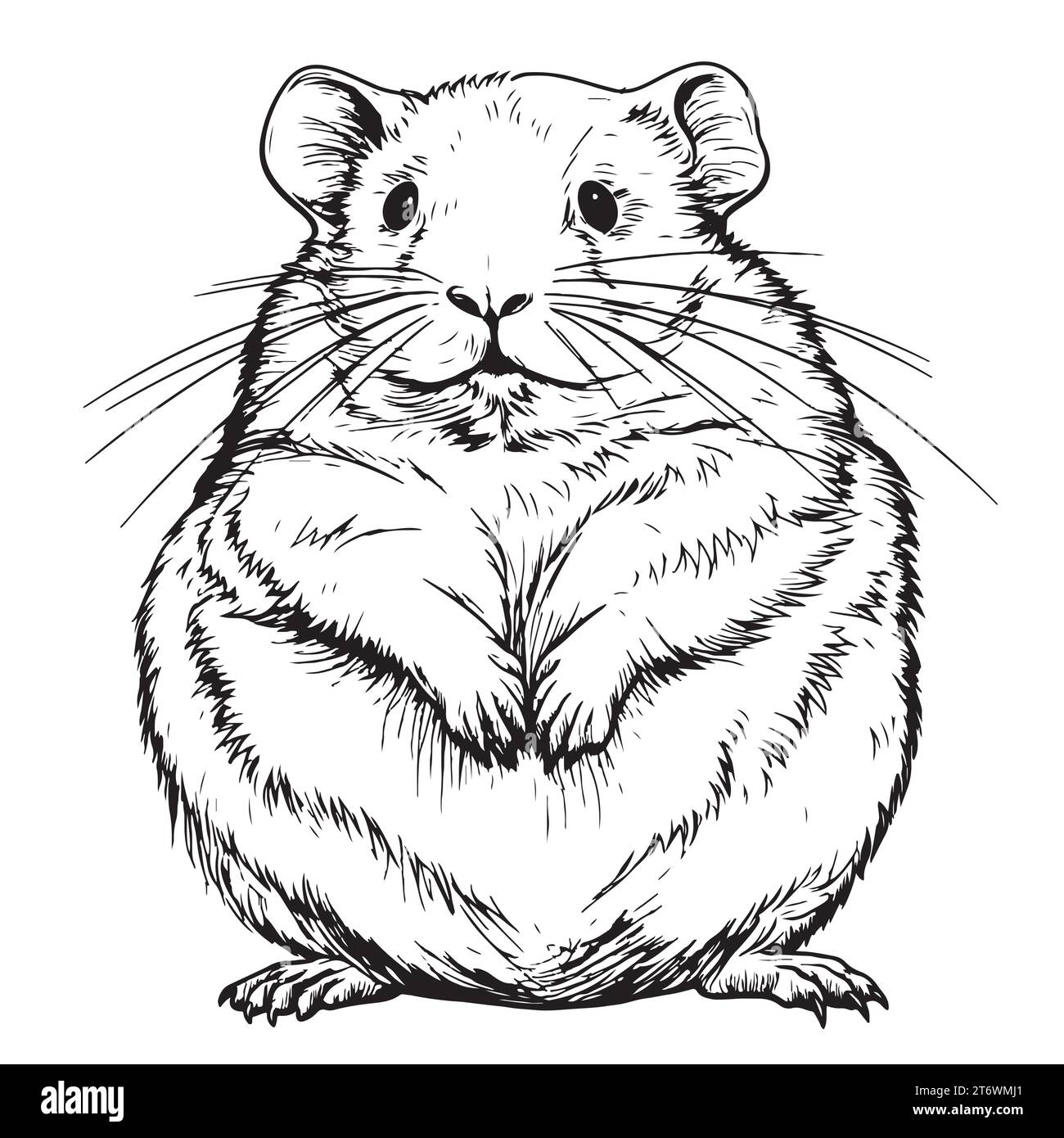 Hamster sketch, graphic portrait of a hamster on a white background ...