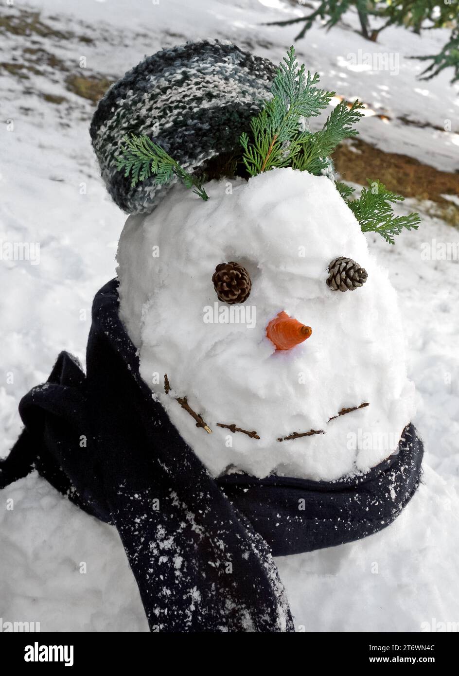 frozen smiling snowman made by children after snowfall in the mountains ...
