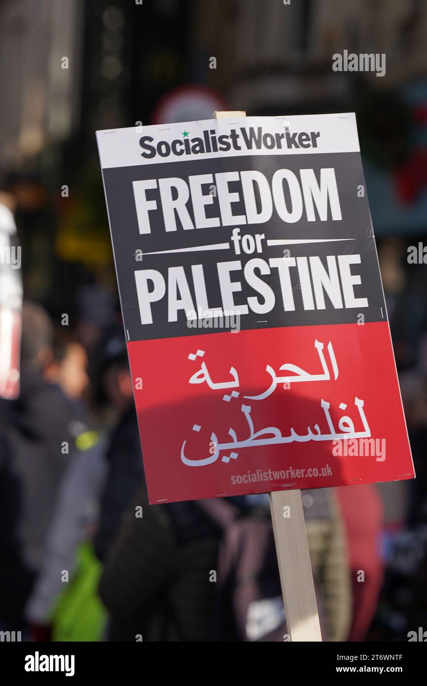 Messages of support on placards and signs at the Pro Palestine March in ...