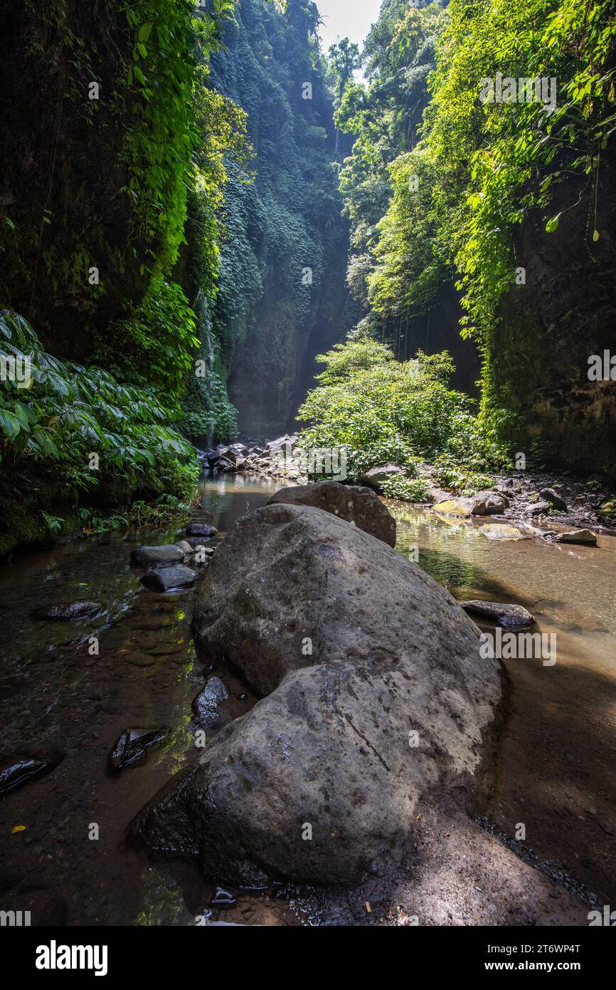 The Sekumpul Waterfall, a large waterfall in the middle of the jungle ...