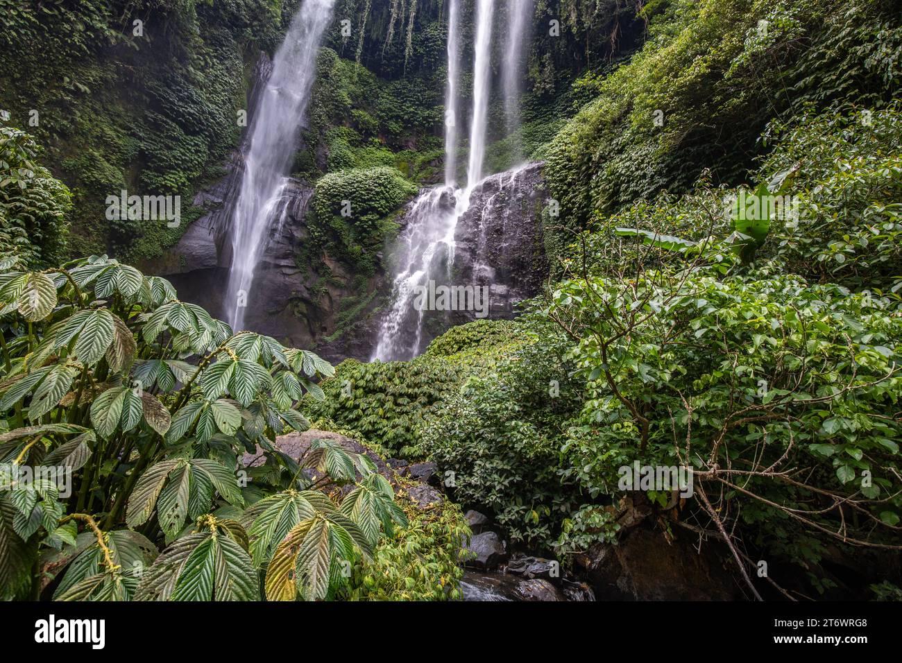 The Sekumpul Waterfall, a large waterfall in the middle of the jungle ...