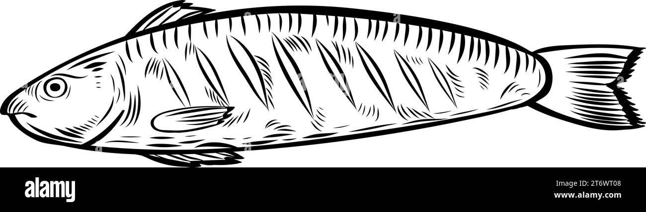 Line drawn fish vector isolated on white background Stock Vector Image ...