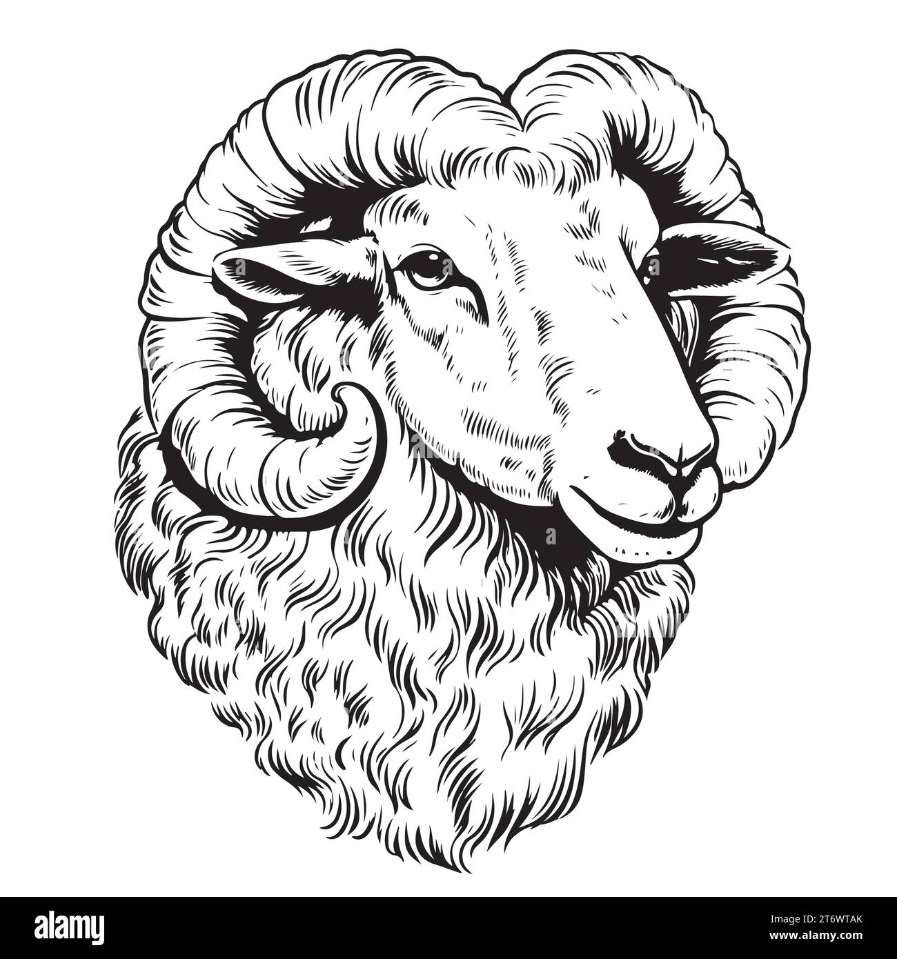 Ram head Black and White Stock Photos & Images - Alamy