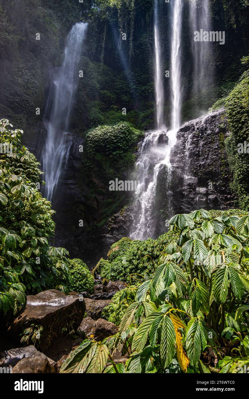 The Sekumpul Waterfall, a large waterfall in the middle of the jungle ...