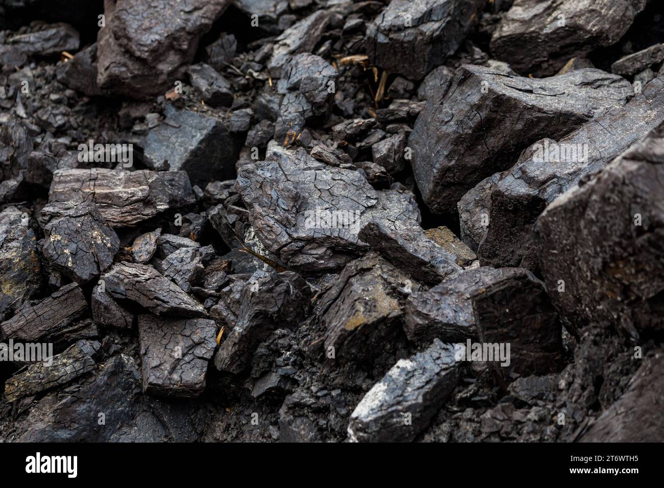 Vor 15 millionen jahren hi-res stock photography and images - Alamy
