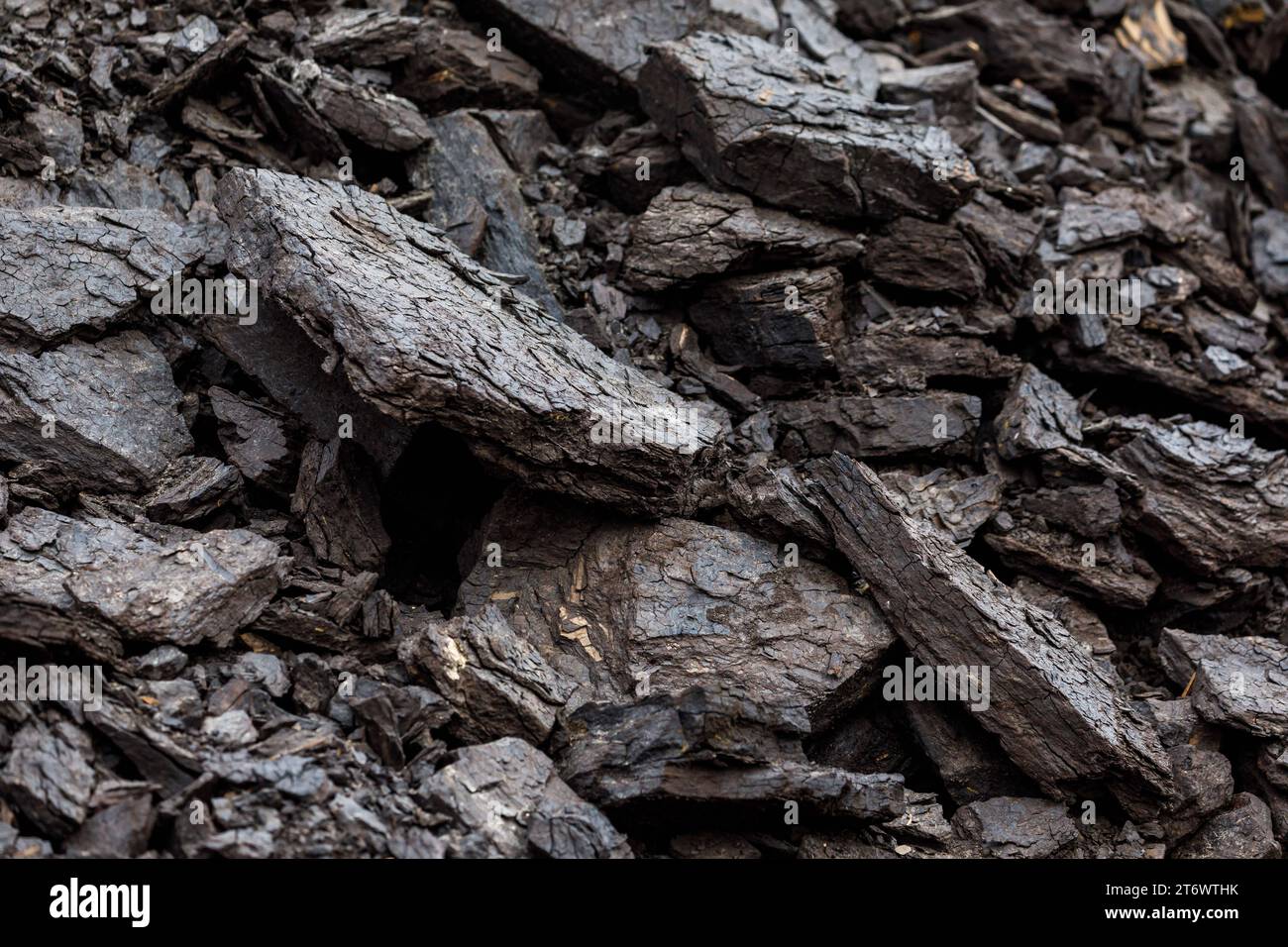 Vor 15 millionen jahren hi-res stock photography and images - Alamy