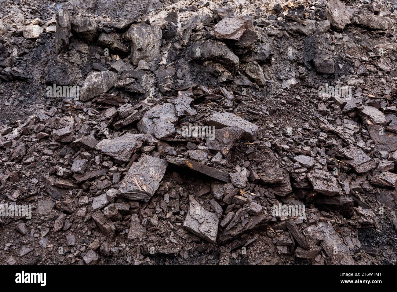 Vor 15 millionen jahren hi-res stock photography and images - Alamy