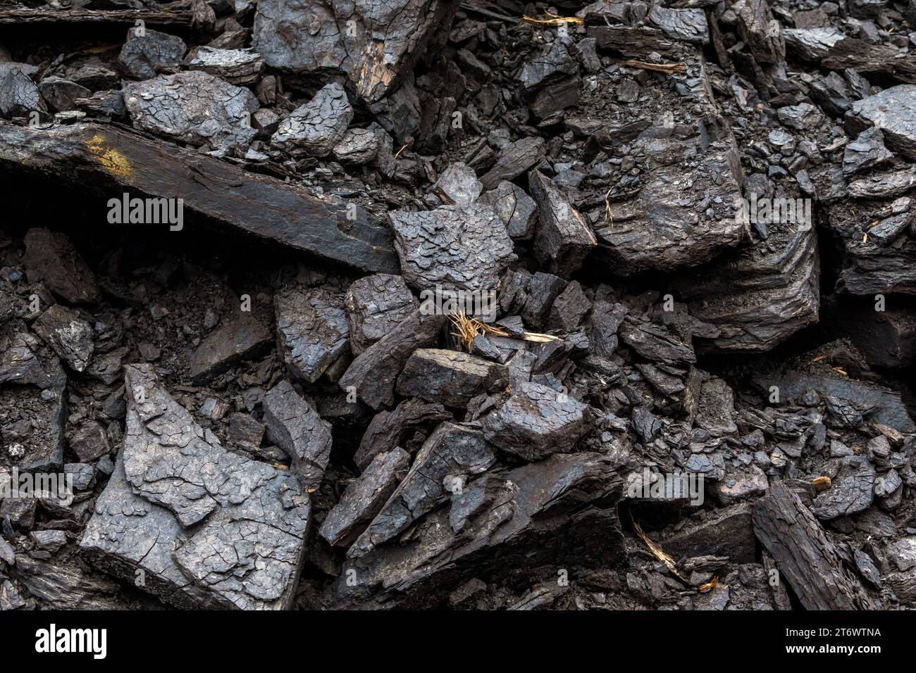Vor 15 millionen jahren hi-res stock photography and images - Alamy