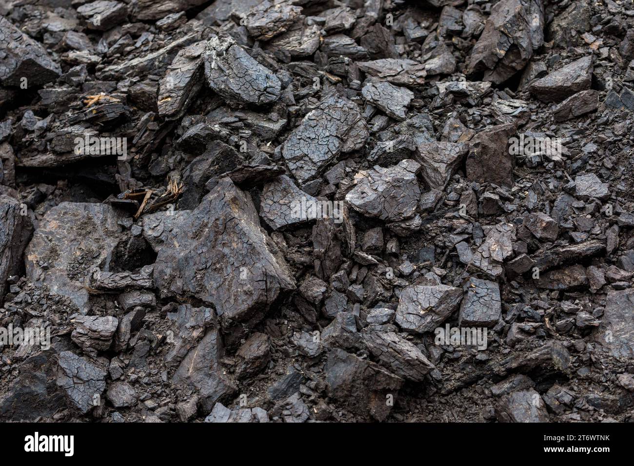 Vor 15 millionen jahren hi-res stock photography and images - Alamy