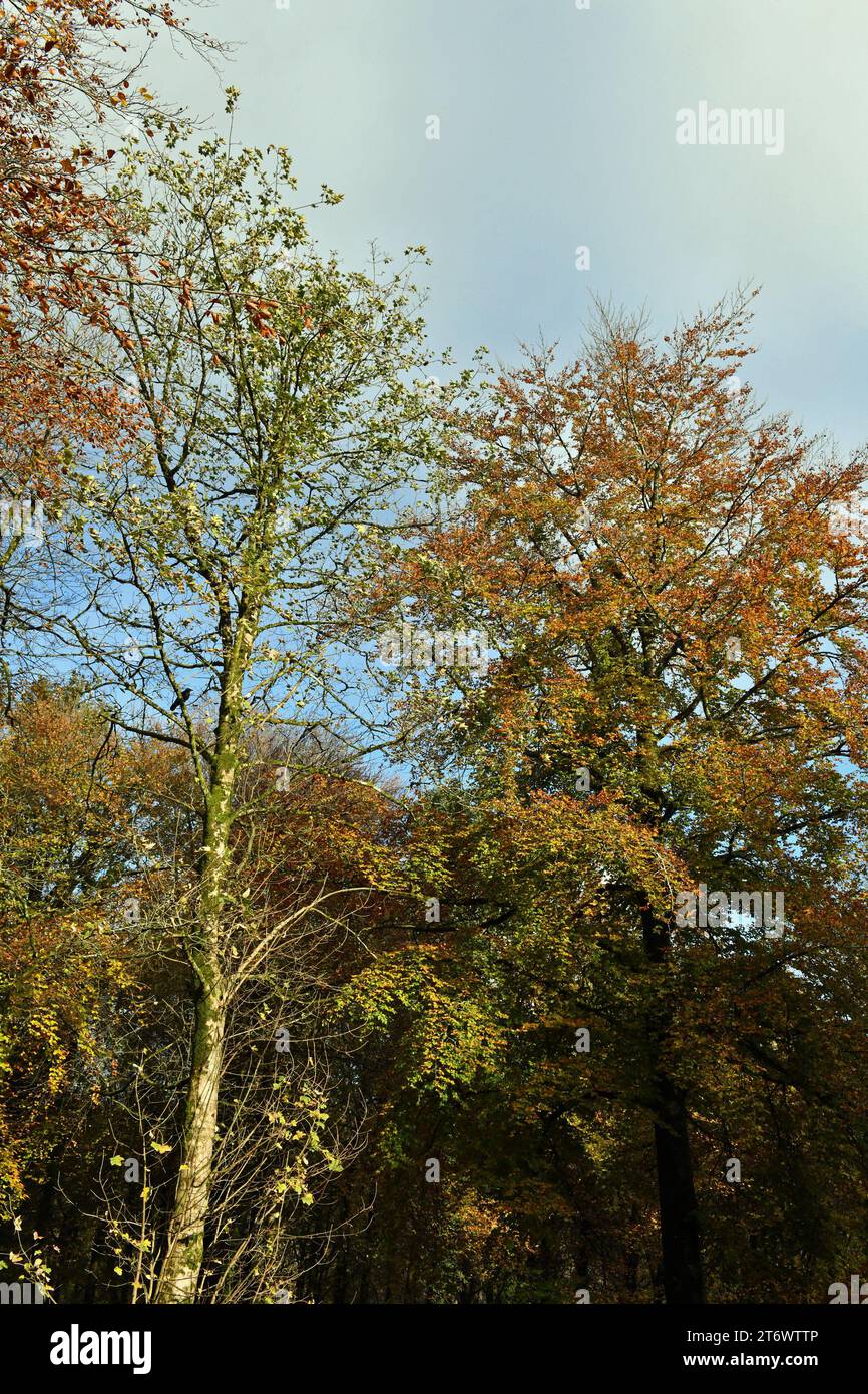 Photo taken in portrait mode hi-res stock photography and images - Alamy