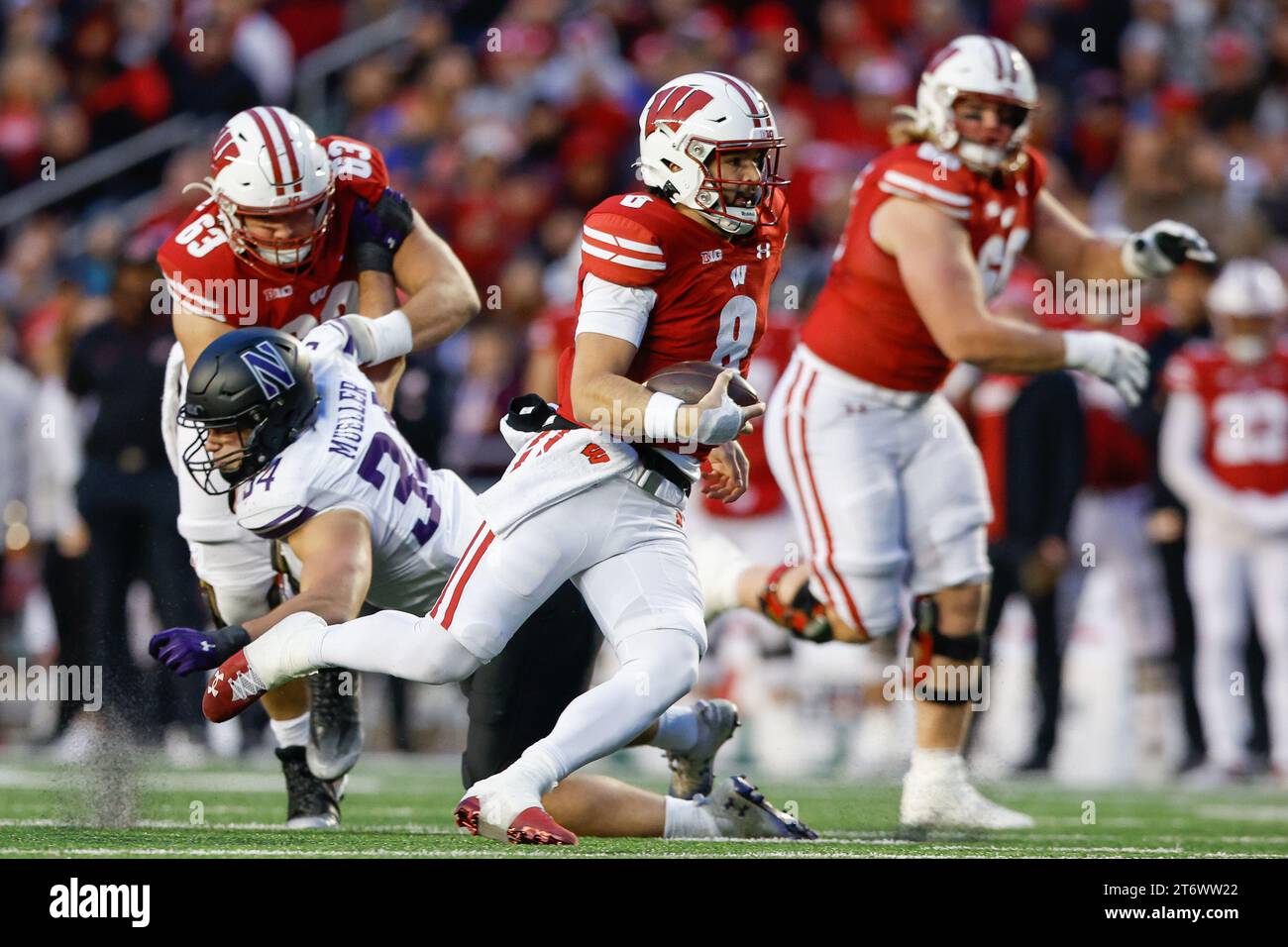 November 11, 2023: Wisconsin Badgers quarterback Tanner Mordecai (8 ...