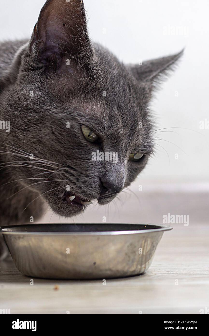 Burmese american food hi-res stock photography and images - Alamy